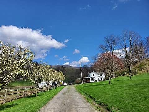 10473 Dry Fork Rd, Hendricks, WV 26271 | Zillow