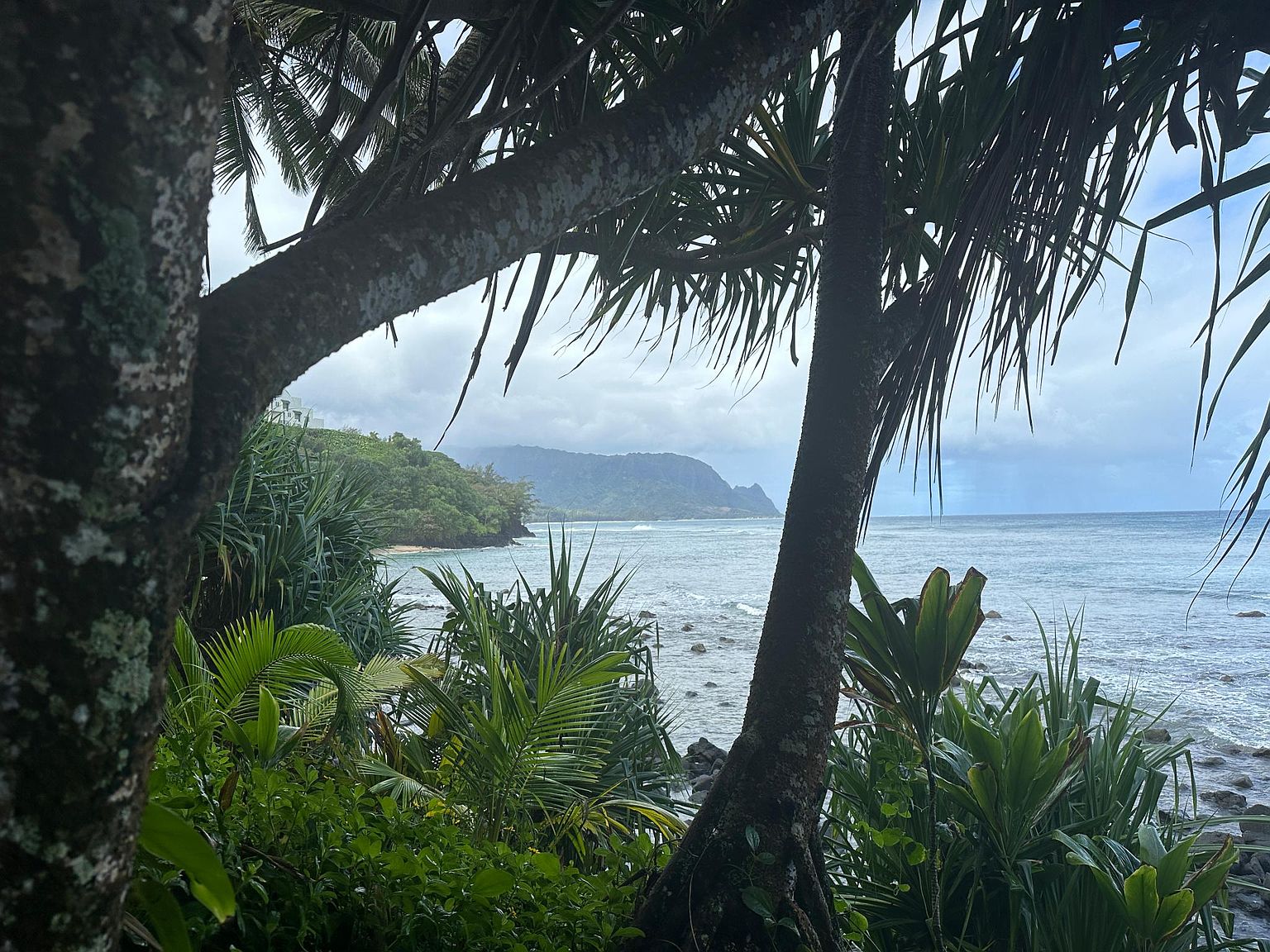 5300 Ka Haku Rd #232, Princeville, HI 96722 | Zillow