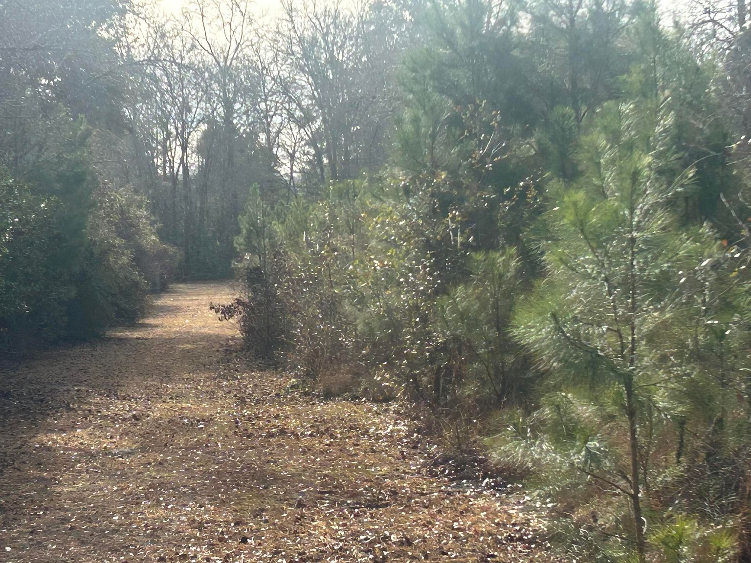 1 Old Jacksonboro Rd, Ravenel, SC 29470 | MLS #26001901 | Zillow