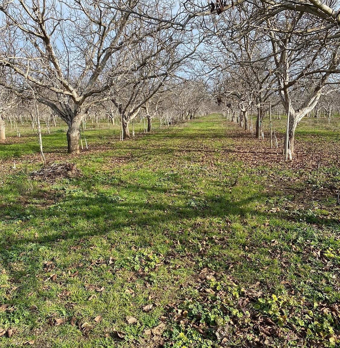 9192 Boyce Rd, Winters, CA 95694 | Zillow