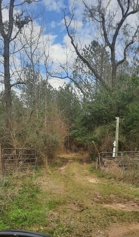 3139 Holly Grove Rd, Livingston, TX 77351 | Zillow