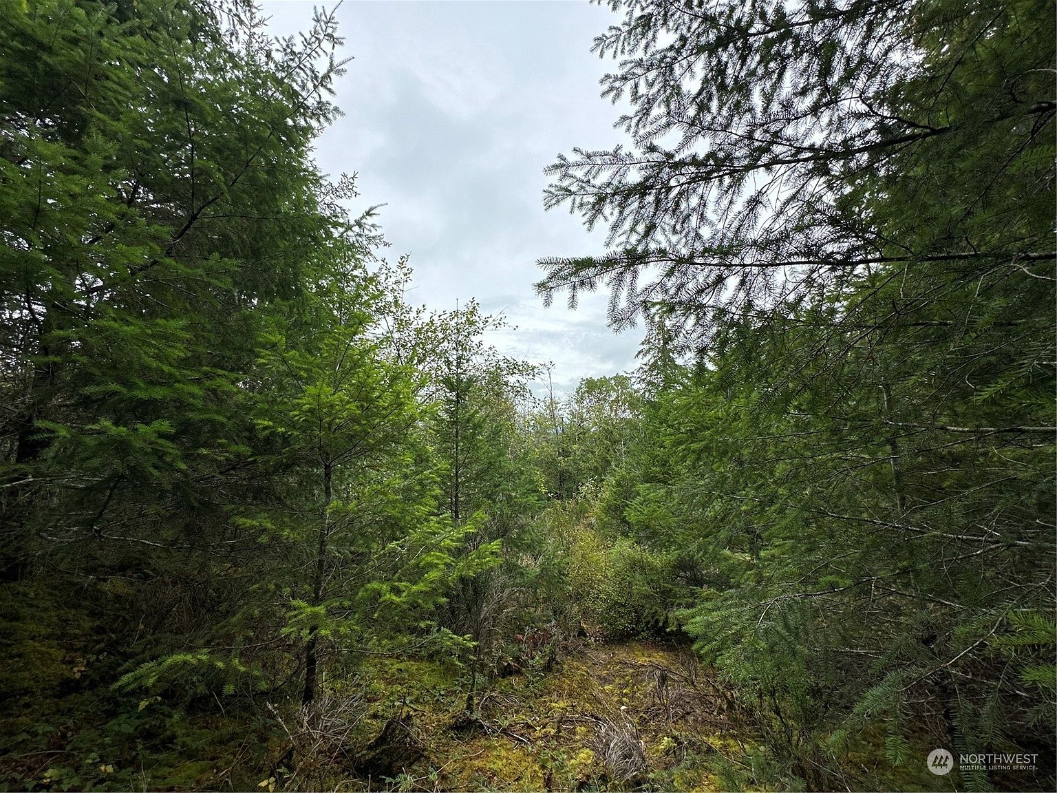 1 XX E Charms Way, Union, WA 98592 | MLS #2293555 | Zillow