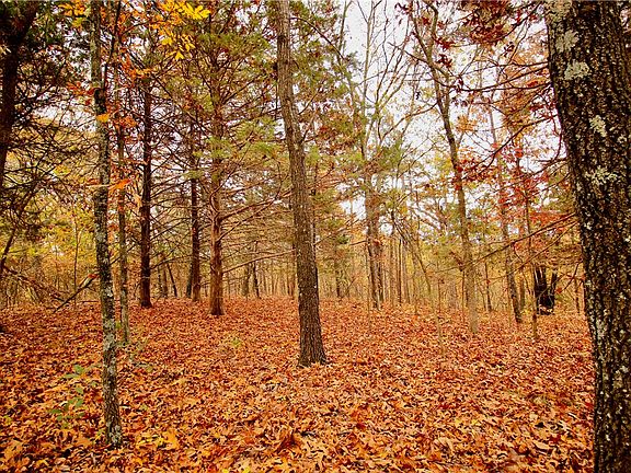 County Road 209, Eureka Springs, AR 72632 | Zillow