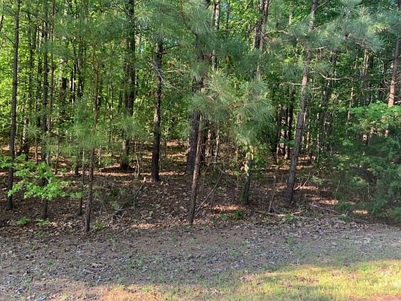 Maple Ct, Littleton, NC 27850 | Zillow