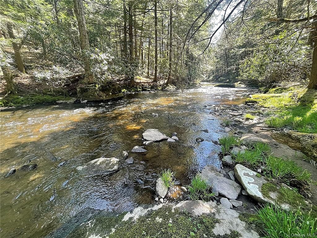 Lot 5, Big Woods Road, Harris, NY 12742 | Zillow