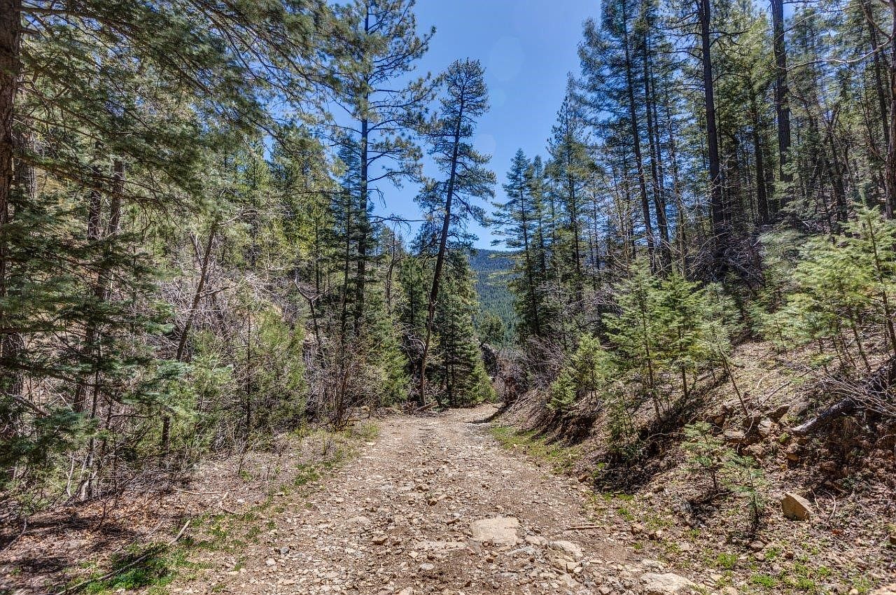 Sawyer Mesa Rd, Tererro, NM 87573 | MLS #202503533 | Zillow
