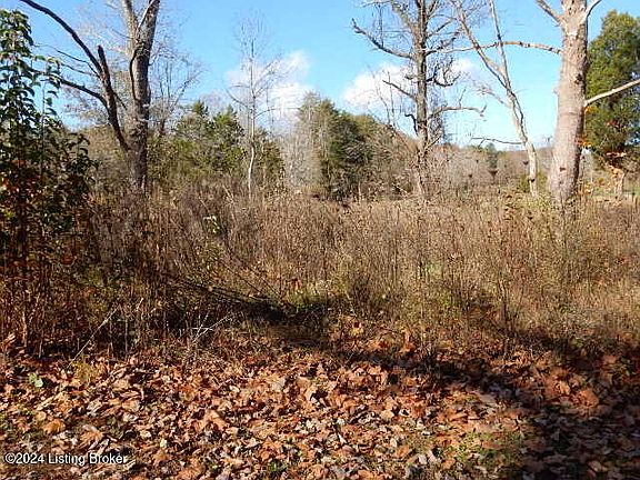 TRACT 1 Horsefly Hollow Rd, Lebanon Junction, KY 40150 | MLS #1675307 ...