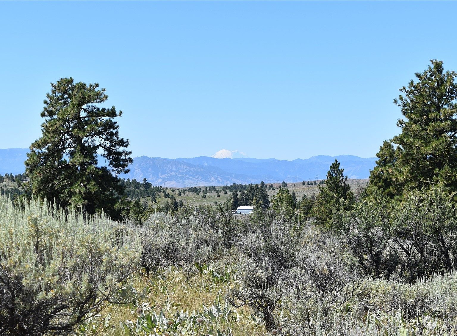 407 Wild Turkey Road, East Wenatchee, WA 98802 | Zillow