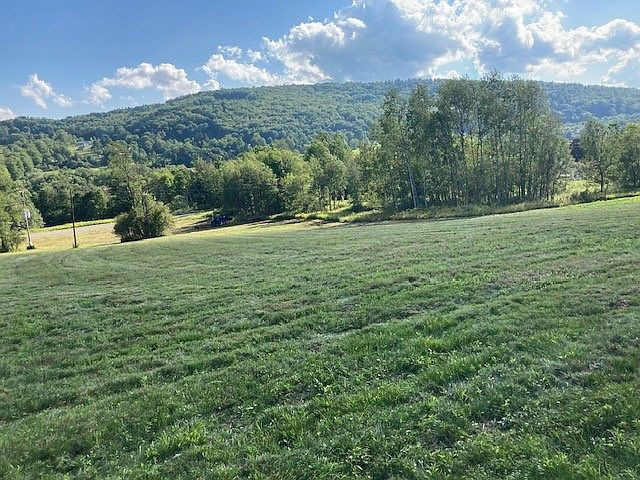 16098 State Highway 8, Sidney, NY 13838 | MLS #R1525506 | Zillow