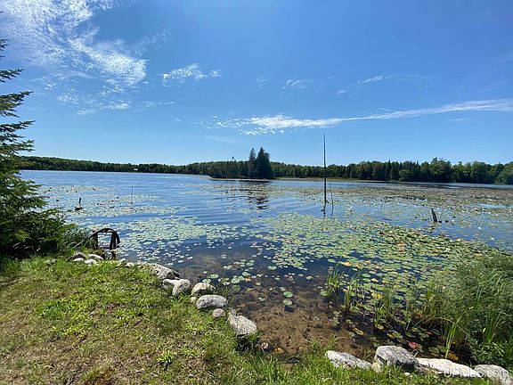 1335-1335 N Chip Lake Rd, Germfask, MI 49836 | MLS #50085284 | Zillow