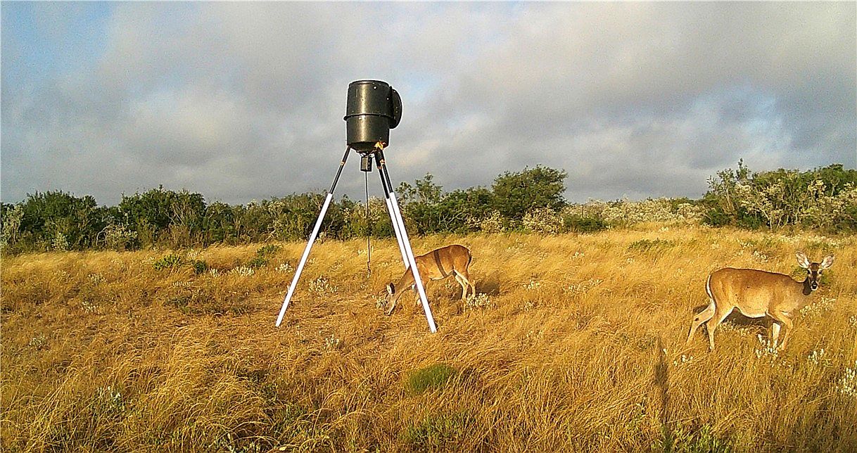 44 Ranch South Hwy S, San Diego, TX 78384 | MLS #467016 | Zillow