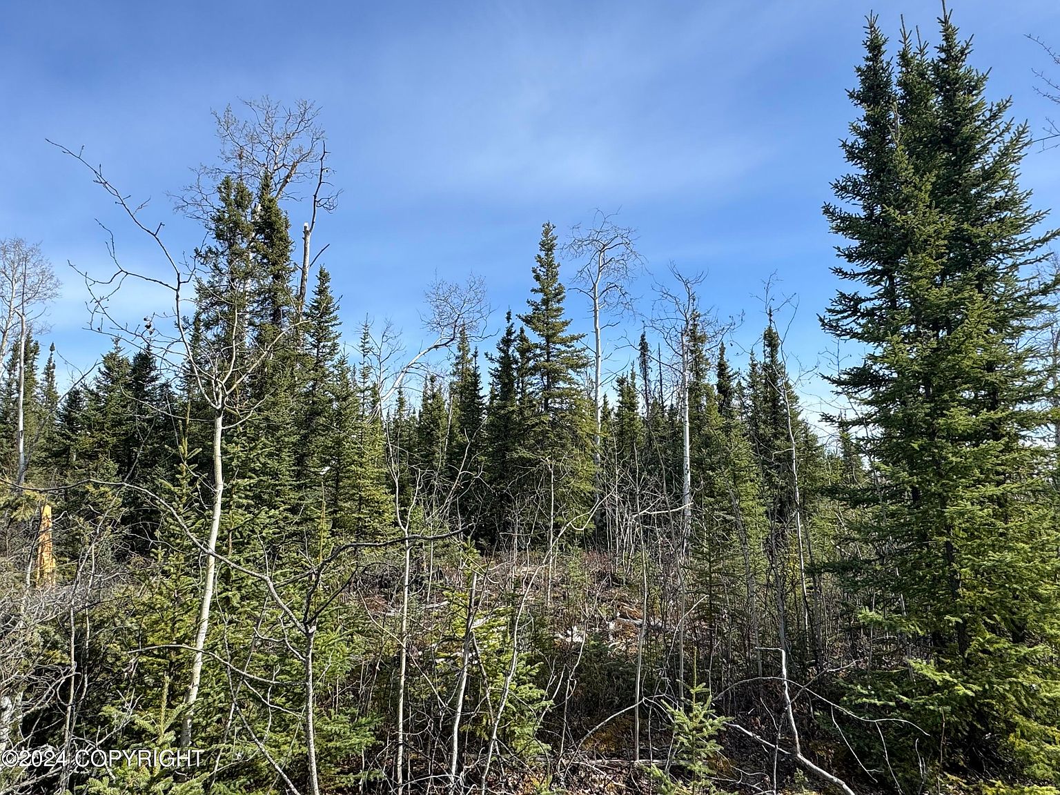 Unk Yukon Ave, Anderson, AK 99744 | Zillow