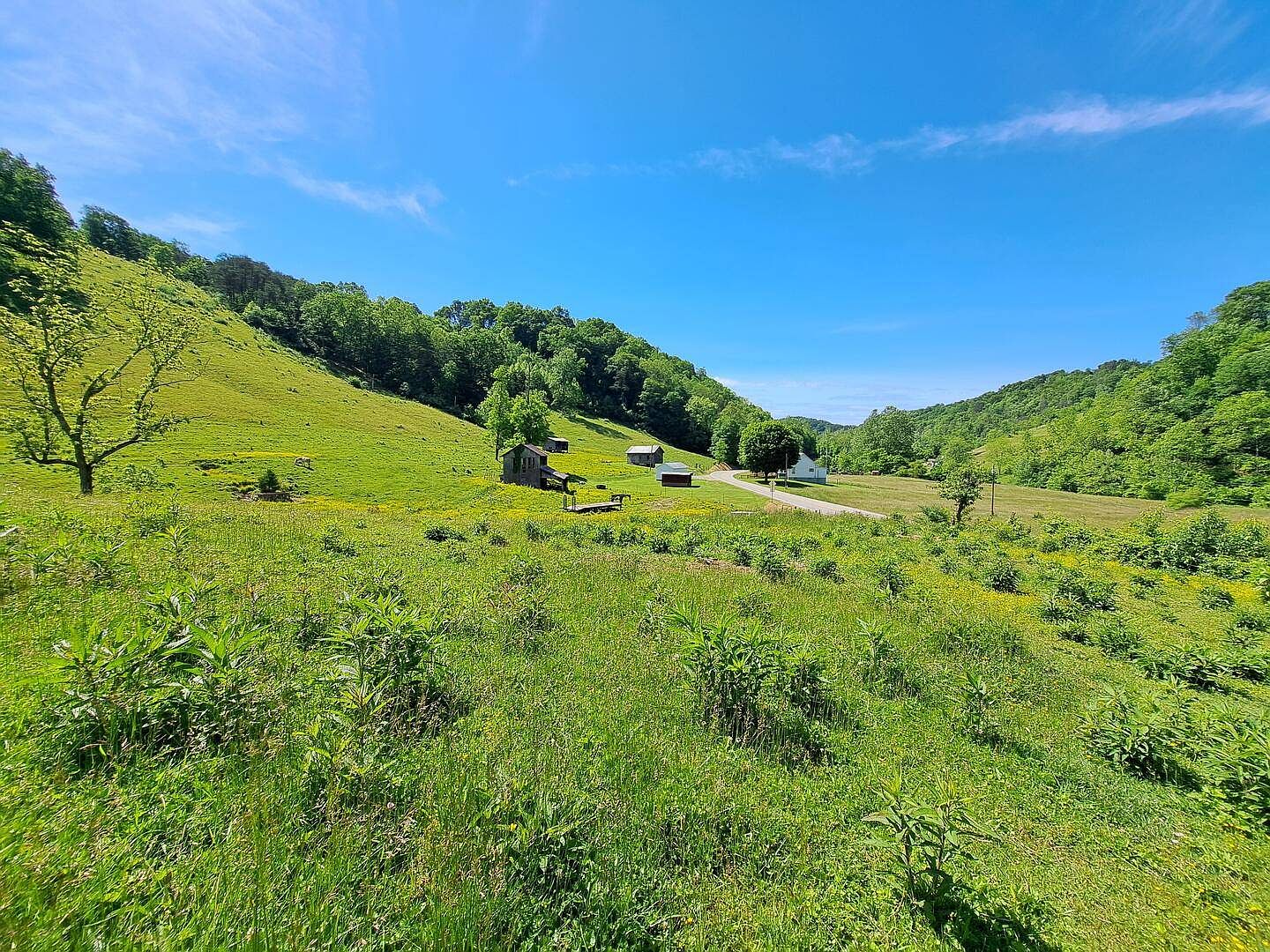 205 State Highway 18, Troy, WV 26443 | MLS #11509976 | Zillow