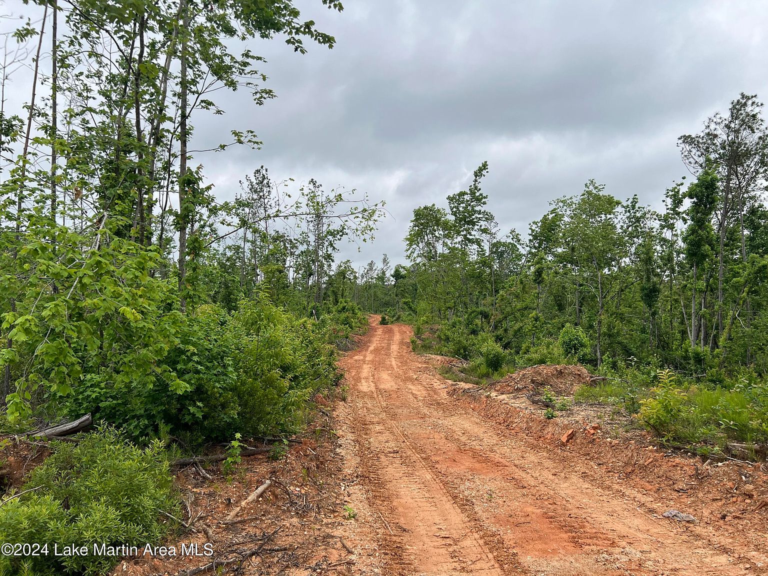 1749 State Highway 259, Equality, AL 36026 | MLS #24-1327 | Zillow