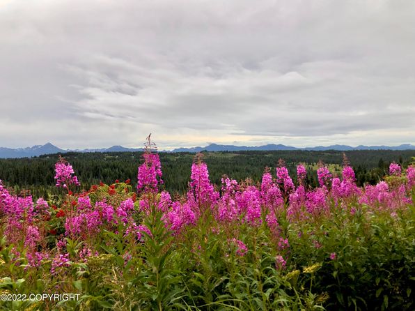 Diamond Ridge AK Real Estate - Diamond Ridge AK Homes For Sale | Zillow