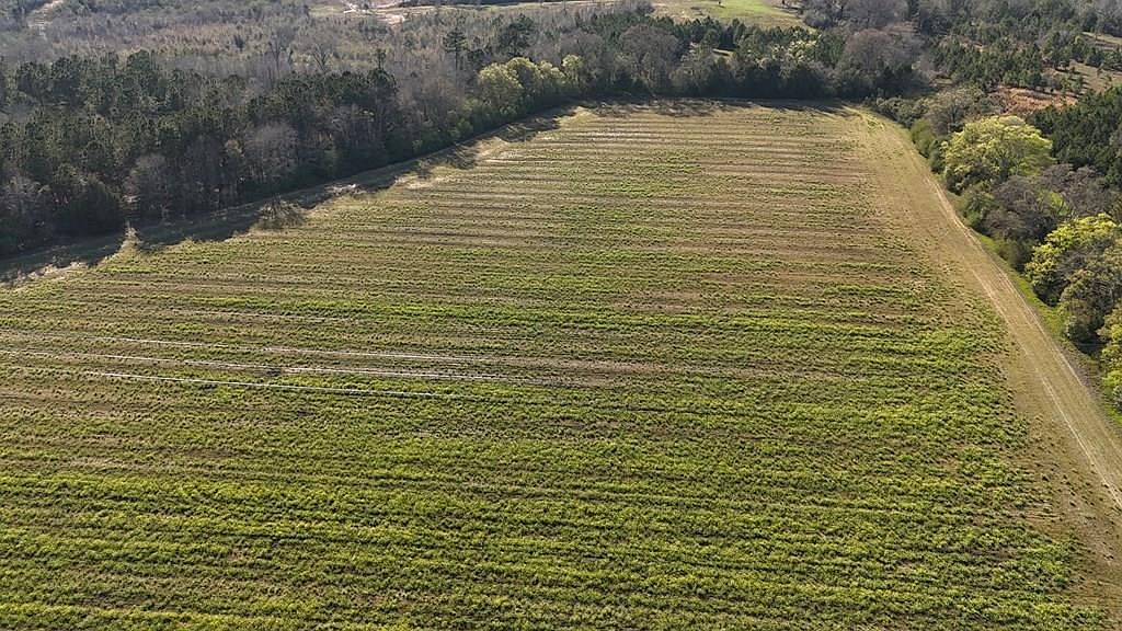 LOT 8 Gilley Mill Rd, Headland, AL 36345 | Zillow