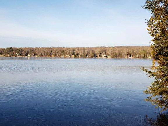 Trump Lake Rd, Wabeno, WI 54566 | Zillow