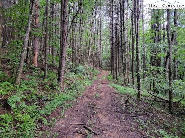 On New River - Sparta NC Real Estate - 96 Homes For Sale | Zillow