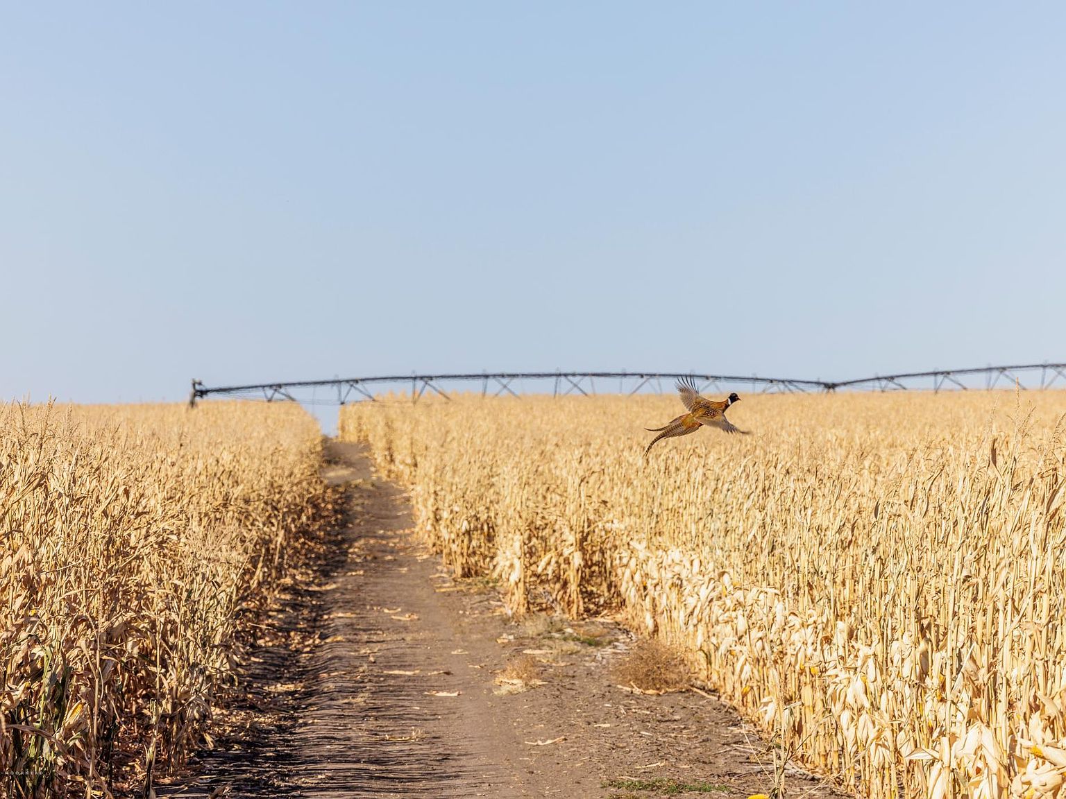 6633 Highway 1804, Hazelton, ND 58544 | MLS #6635380 | Zillow