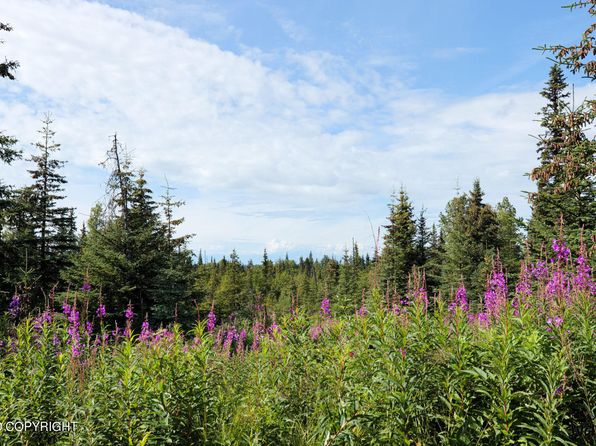 Anchor Point AK Real Estate - Anchor Point AK Homes For Sale | Zillow