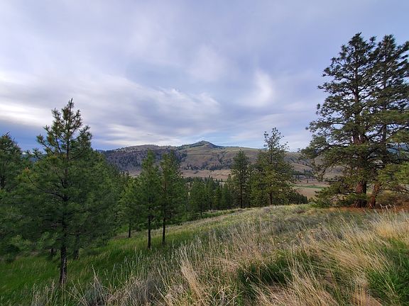 570X Tunk Creek Rd, Riverside, WA 98849 | MLS #11091839 | Zillow