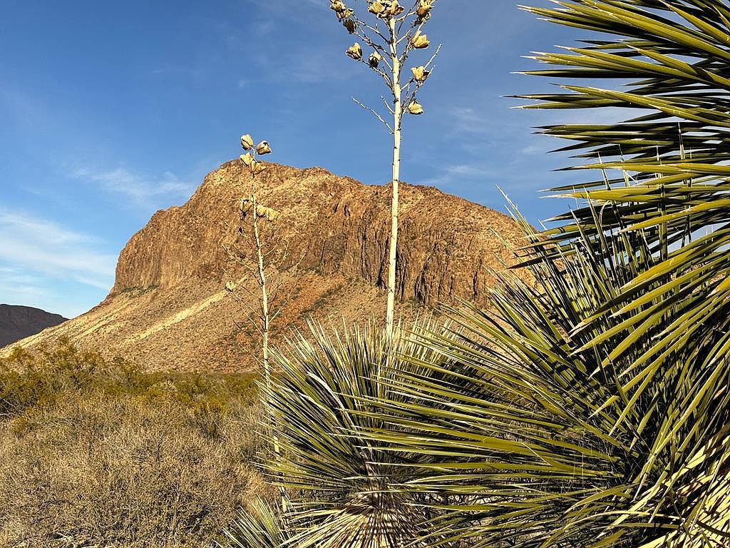 8740 Red Bluff Cir, Terlingua, TX 79852 | MLS #148499 | Zillow
