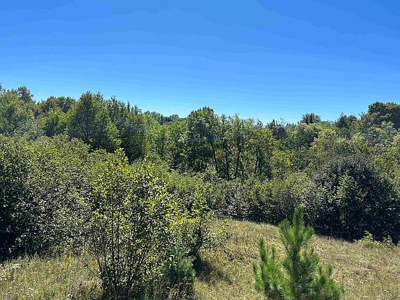 County Road J, Tigerton, WI 54486 | Zillow