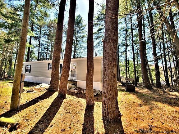 25 George Segar Rd, Swan Lake, NY 12783 | MLS #20231325 | Zillow