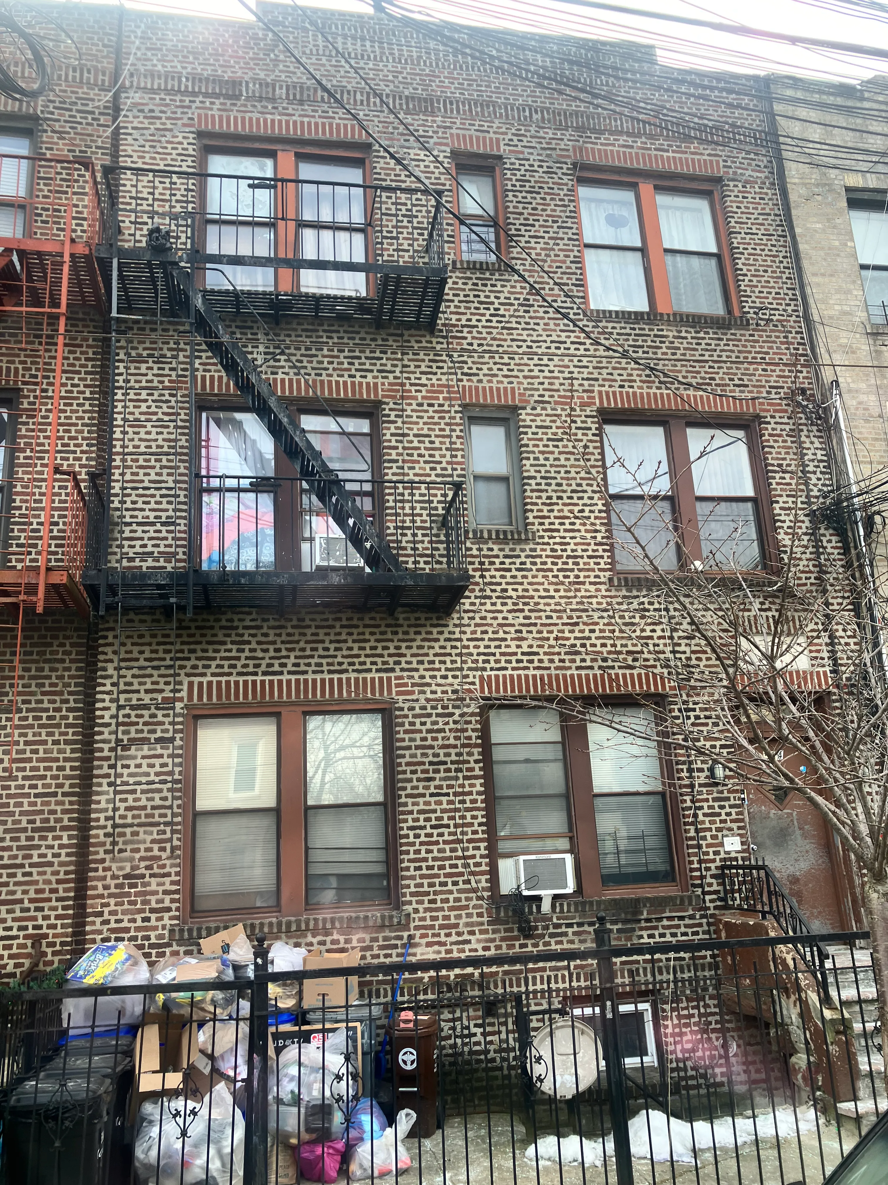 584 Maple Street #1 in Wingate, Brooklyn | StreetEasy