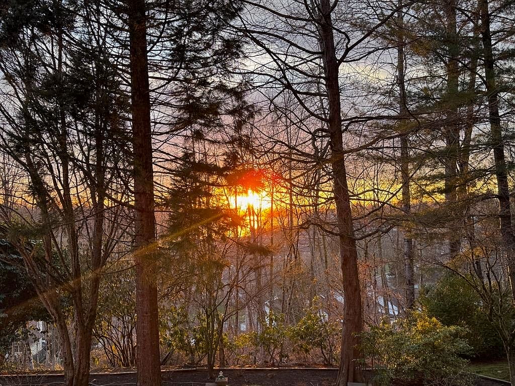 11609 227th St #205, Maple Ridge, BC V2X 2L9 | MLS #R3032158 | Zillow