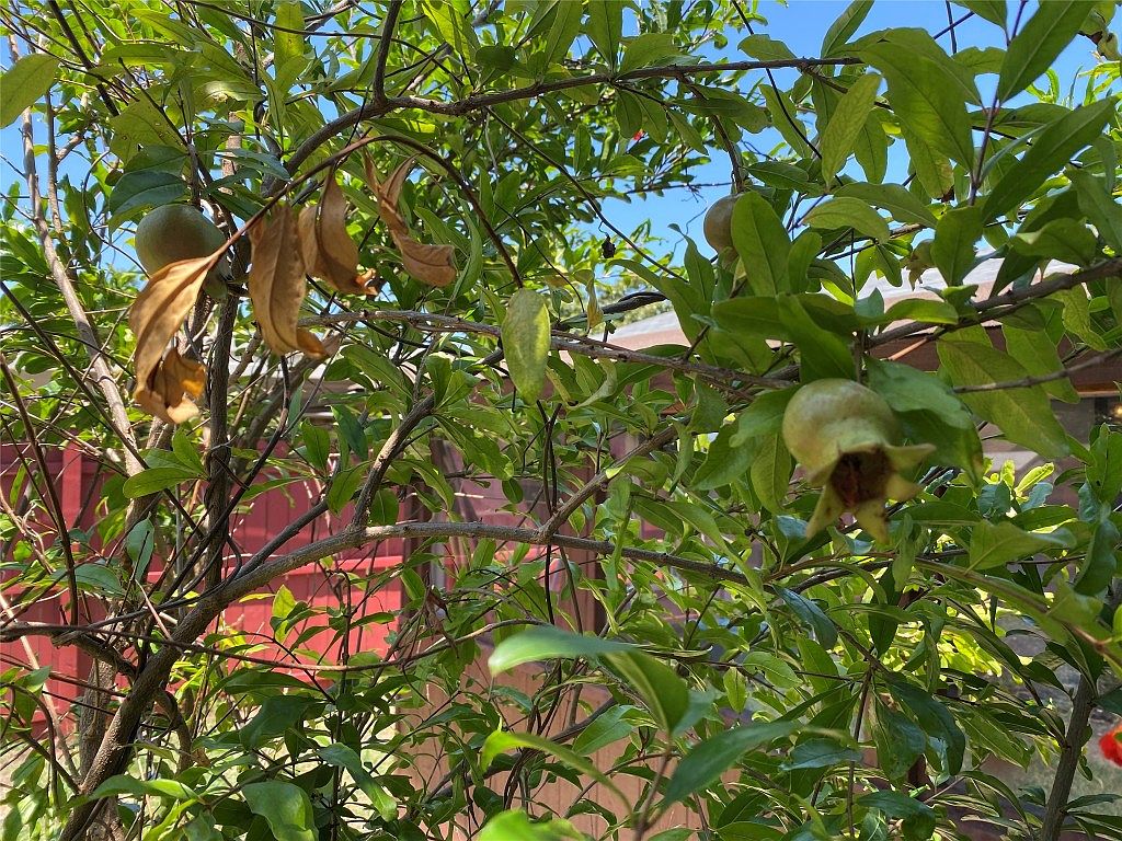 5509 Kerry Ln, Garland, TX 75043 | Zillow