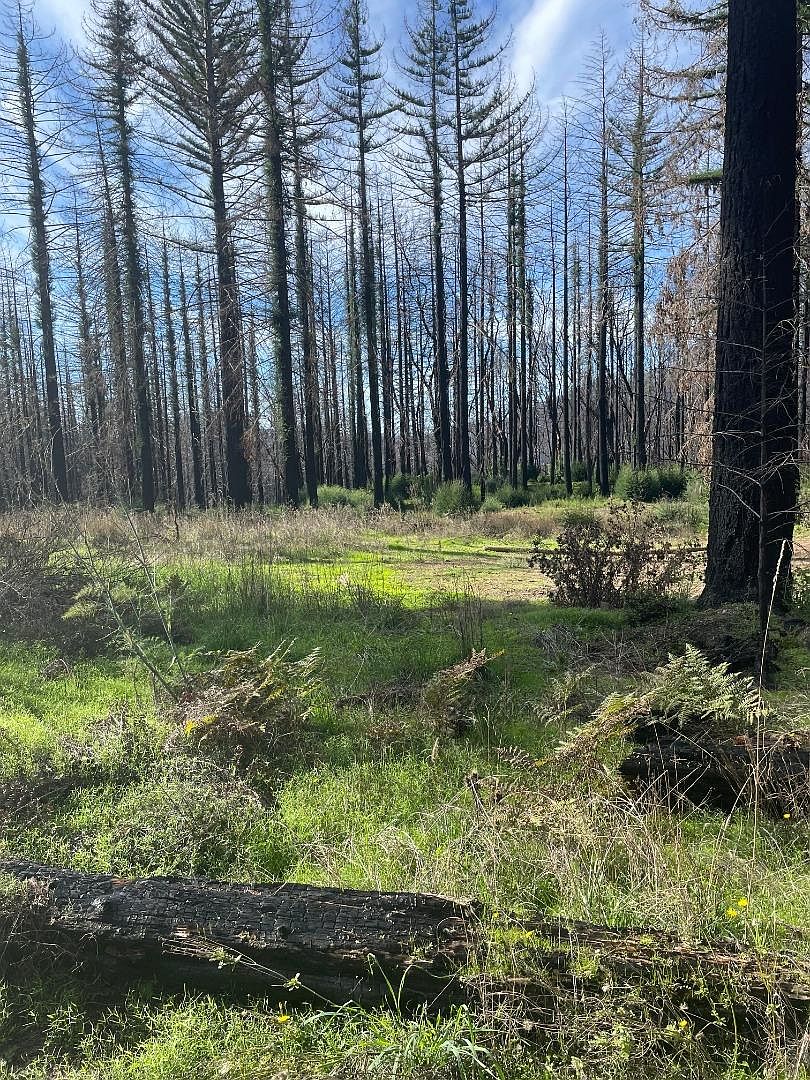 4605 Last Chance Rd, Davenport, CA 95017 | Zillow