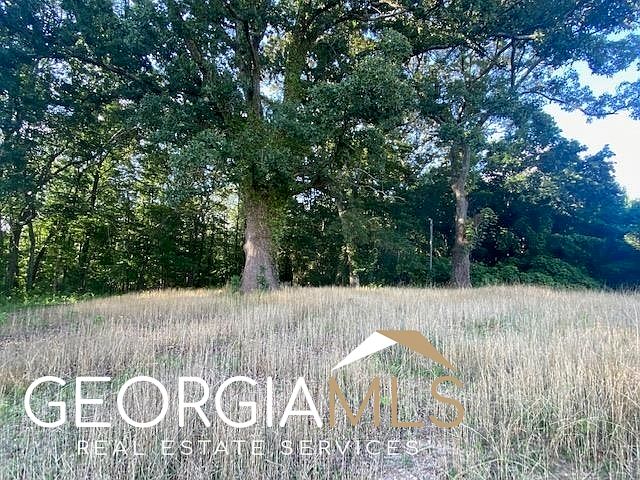 2160 Gum Creek Airport Rd, Roopville, GA 30170 | Zillow