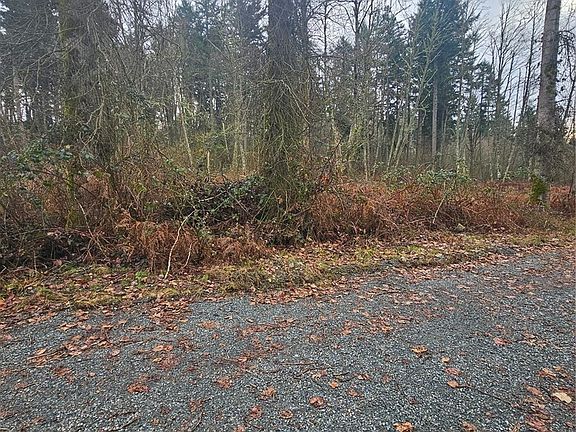 25905 96th Avenue E, Graham, WA 98338 | MLS #2490646 | Zillow