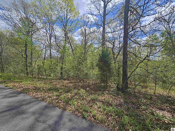 0 Fawn Rd, Smithland, KY 42081 | Zillow