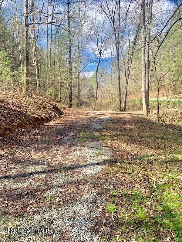 379 Maple Springs Rd, Reliance, TN 37369 | MLS #1268313 | Zillow
