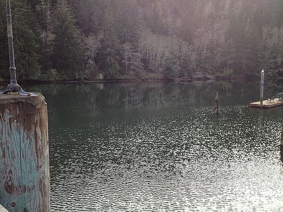 1668 Siletz Hwy, Lincoln City, OR 97367 | Zillow