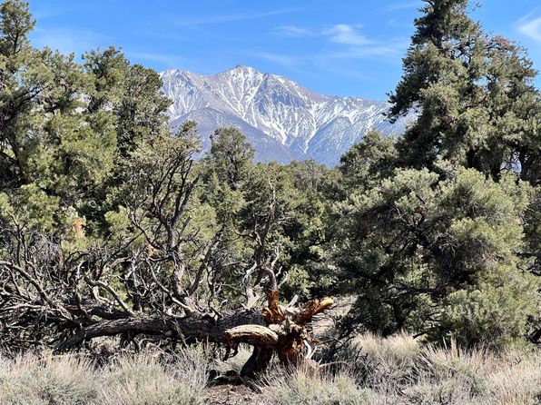 Gabbs NV Real Estate - Gabbs NV Homes For Sale | Zillow