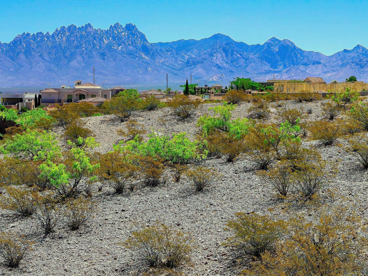 3491 Montecito Ct, Las Cruces, NM 88011 | MLS #2301226 | Zillow