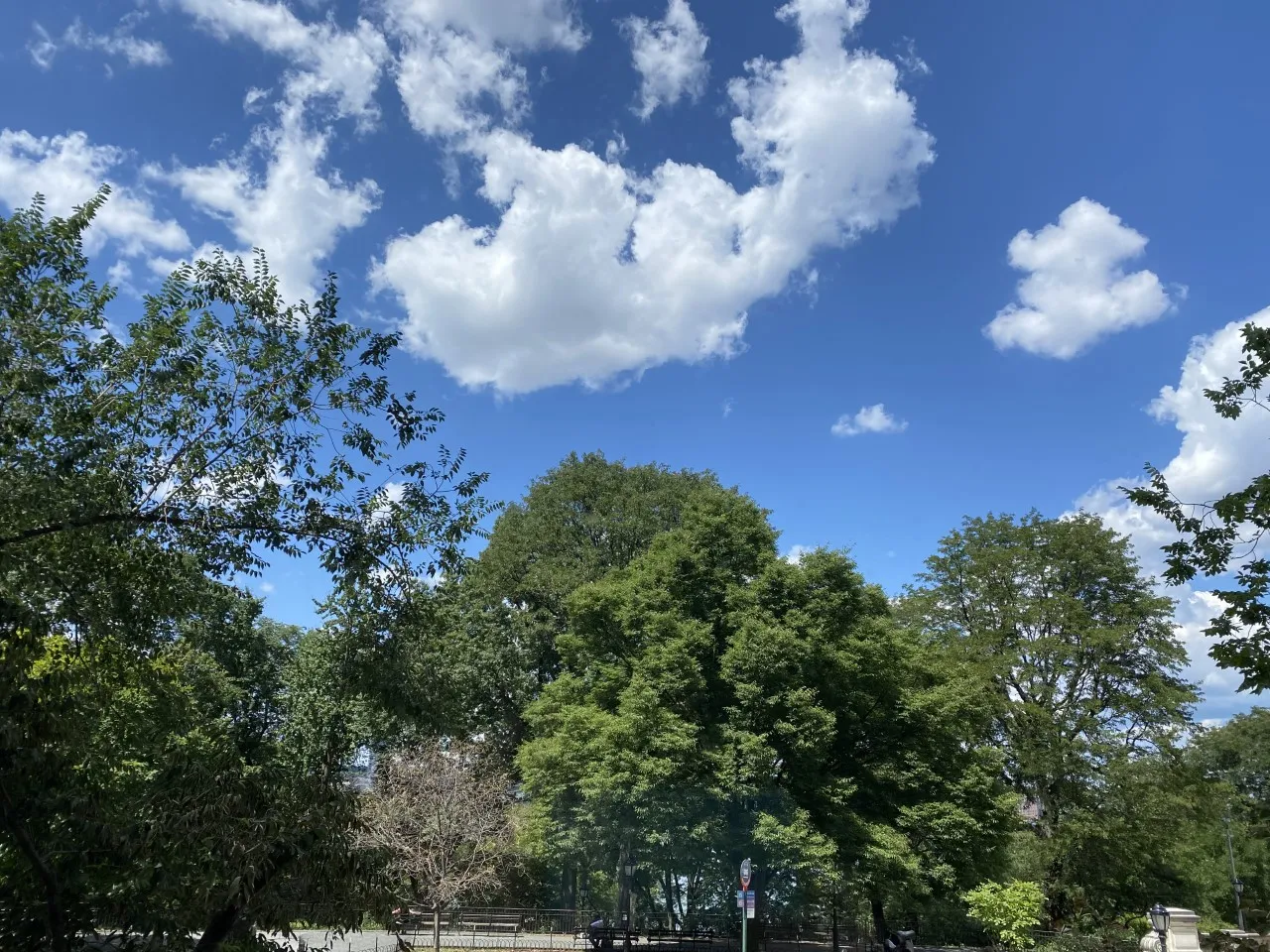 160 Riverside Drive #2AE in Upper West Side, Manhattan | StreetEasy