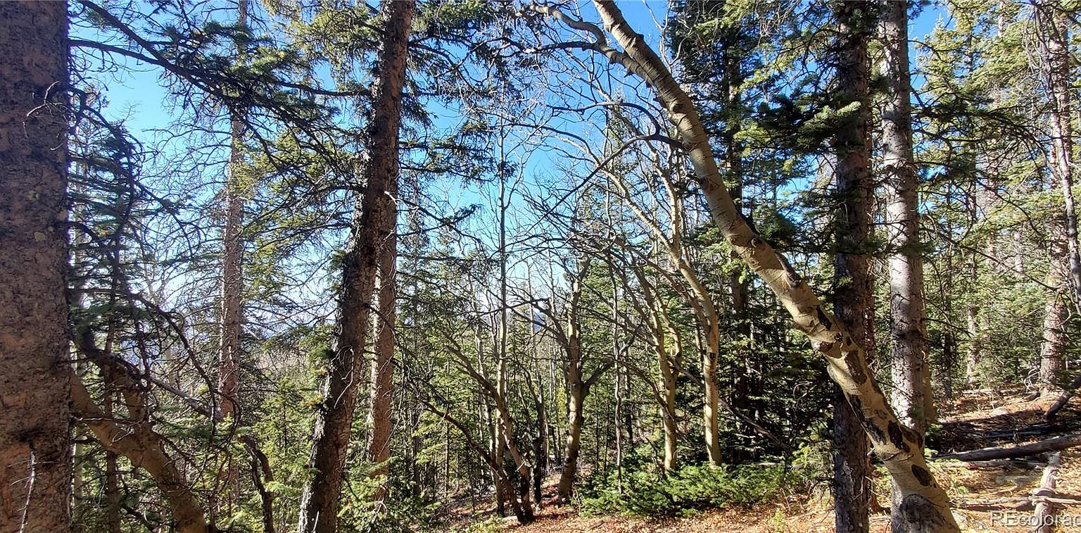 6572 Ackerman Road Lot 6572, San Luis, CO 81152 | Zillow