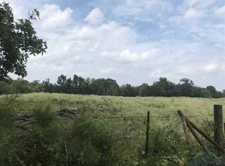 County Road 165, Long Branch, TX 75669 | Zillow