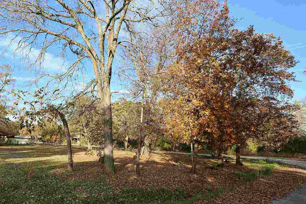 0 Kelly Ln, Lone Grove, OK 73443 | Zillow