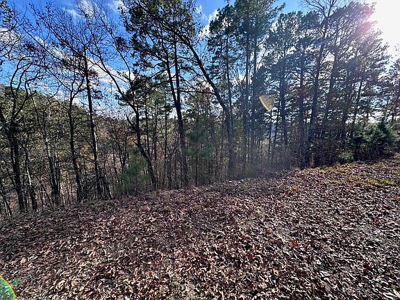LOT 27 Broad Hawk Cir, Paron, AR 72122 | MLS #25000564 | Zillow