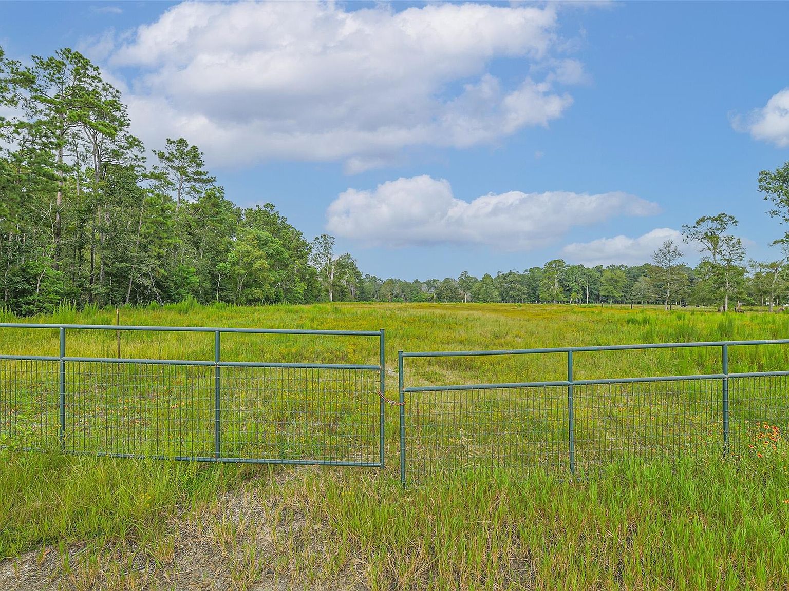 16015 Firetower Rd, Conroe, TX 77306 | Zillow