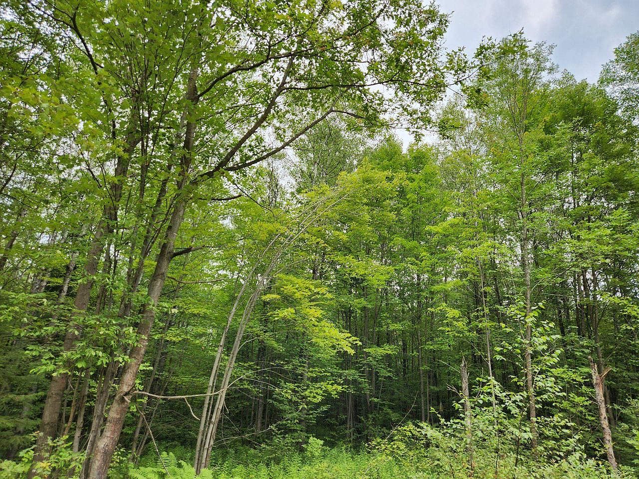 HAGAR CITY ROAD LOT NW 1/4 SW 1/4 Sec 14, Merrill, WI 54452 | Zillow