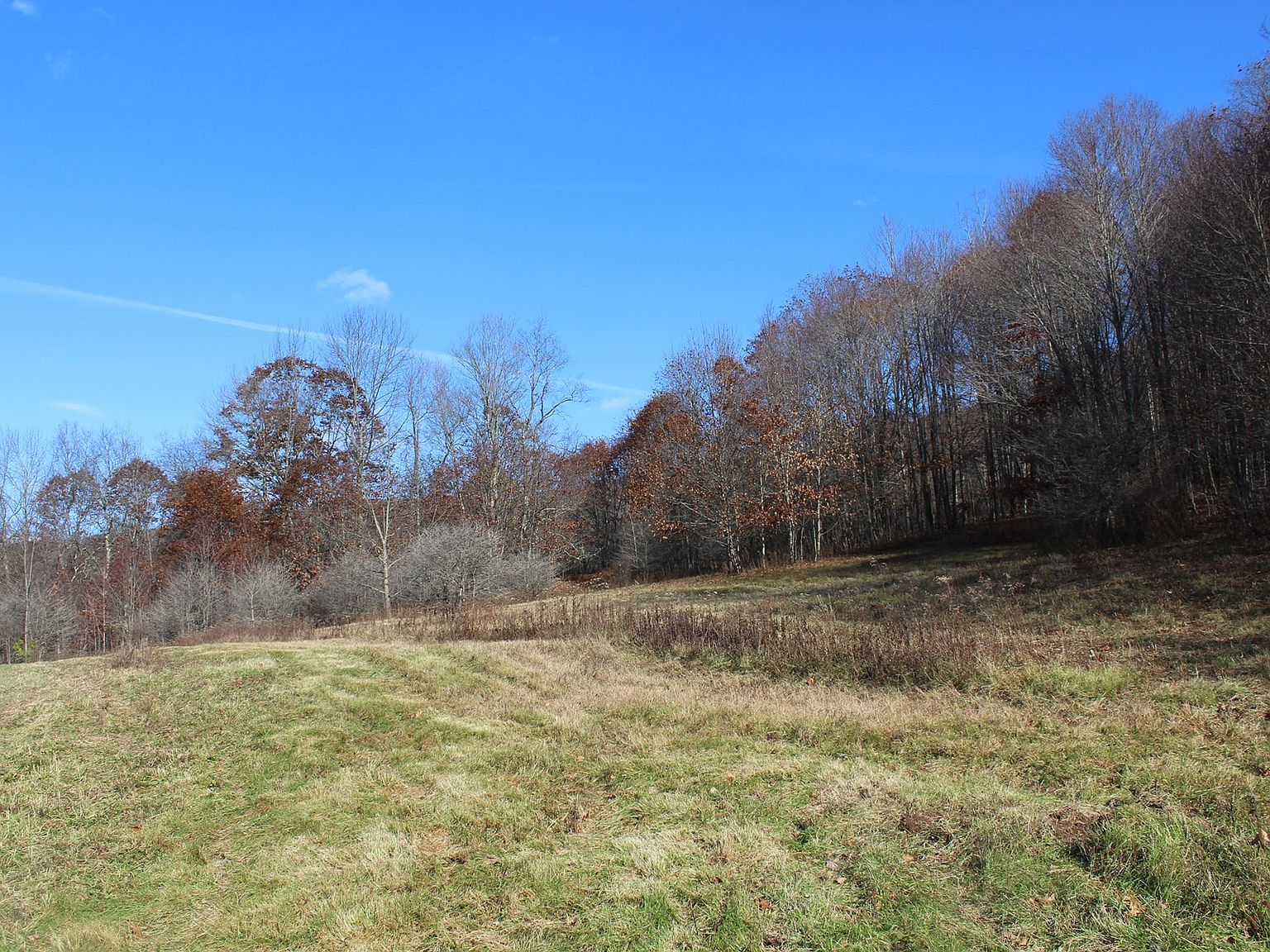 Gregory Holw #418, Roscoe, NY 12776 | Zillow