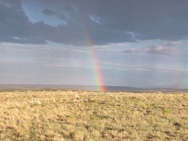 Witch Well Tavern, St Johns, AZ 85936 | Zillow