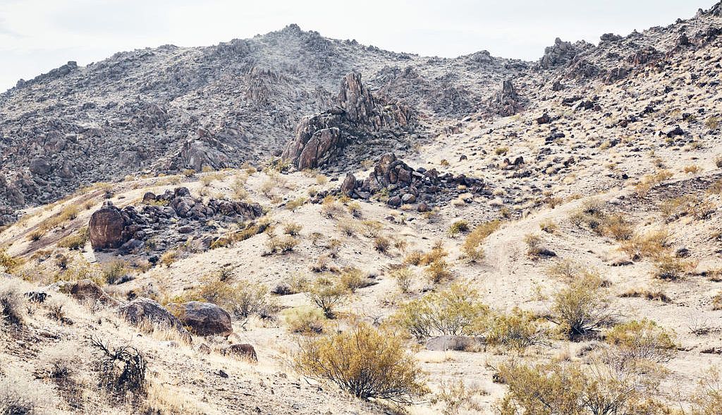 5156 Benji Ave, Joshua Tree, CA 92252 | MLS #219120473DA | Zillow