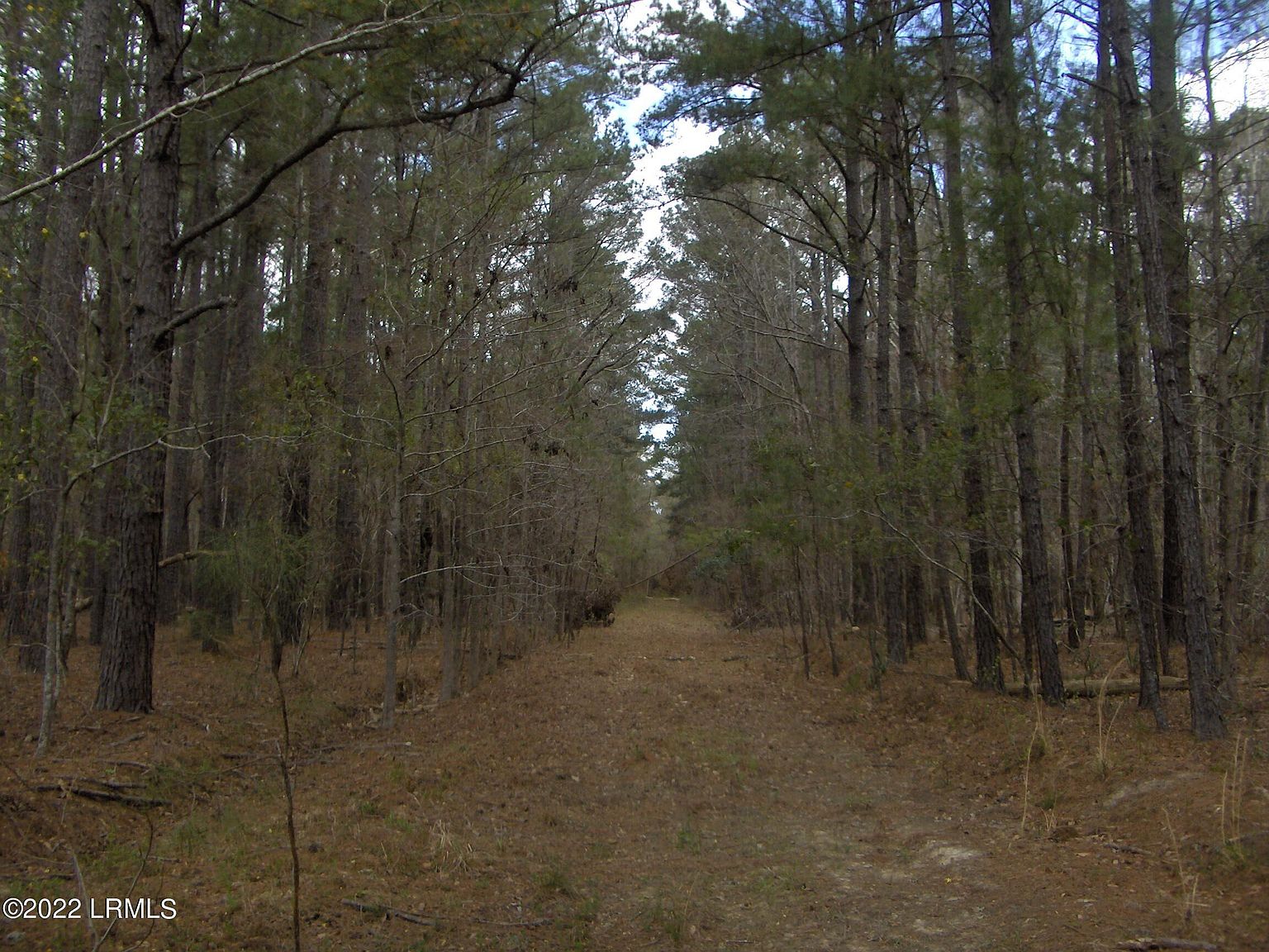 0 Private Farm Rd, Furman, SC 29921 | Zillow